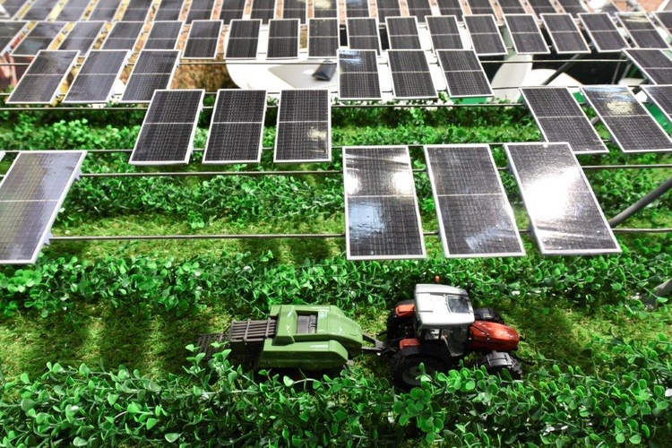 Photovoltaics in Agriculture